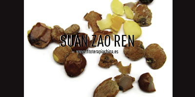 Suan Zao Ren plantas chinas medicinales y sus características